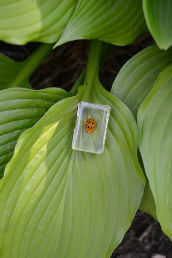 8 Bug Activities For Kids To Keep Them Active And Entertained