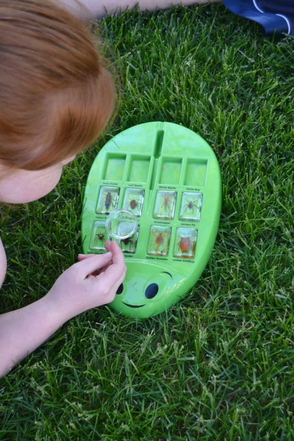 8 Bug Activities For Kids To Keep Them Active And Entertained