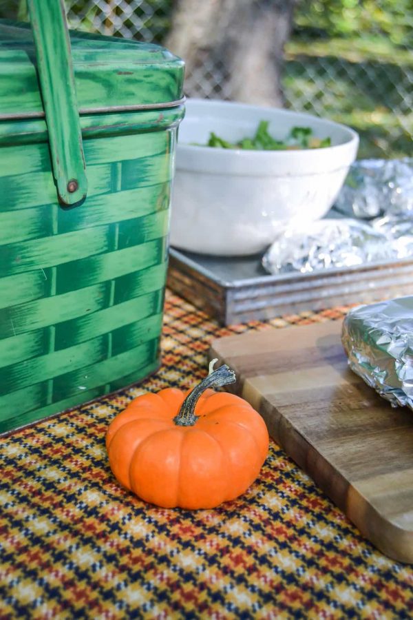Fall Picnic: 10 Tips For An Easy Fall Picnic - My Creative Days