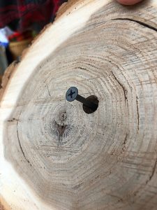 Wood Slabs DIY For Home Decor - My Creative Days