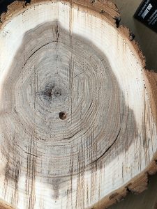 Wood Slabs DIY For Home Decor - My Creative Days