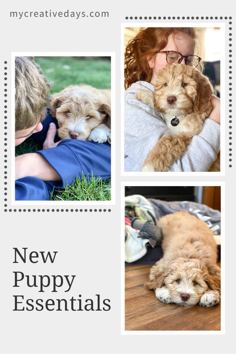 New Puppy Essentials – Welcome Miss Hillie Mae! - My Creative Days