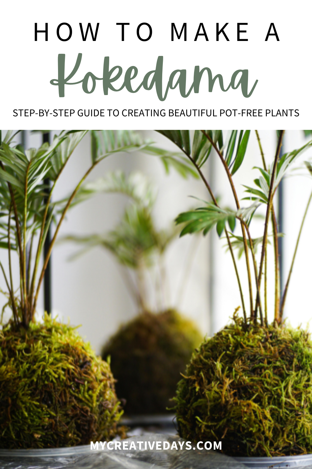 How to Make a Kokedama: Step-by-Step Guide - My Creative Days
